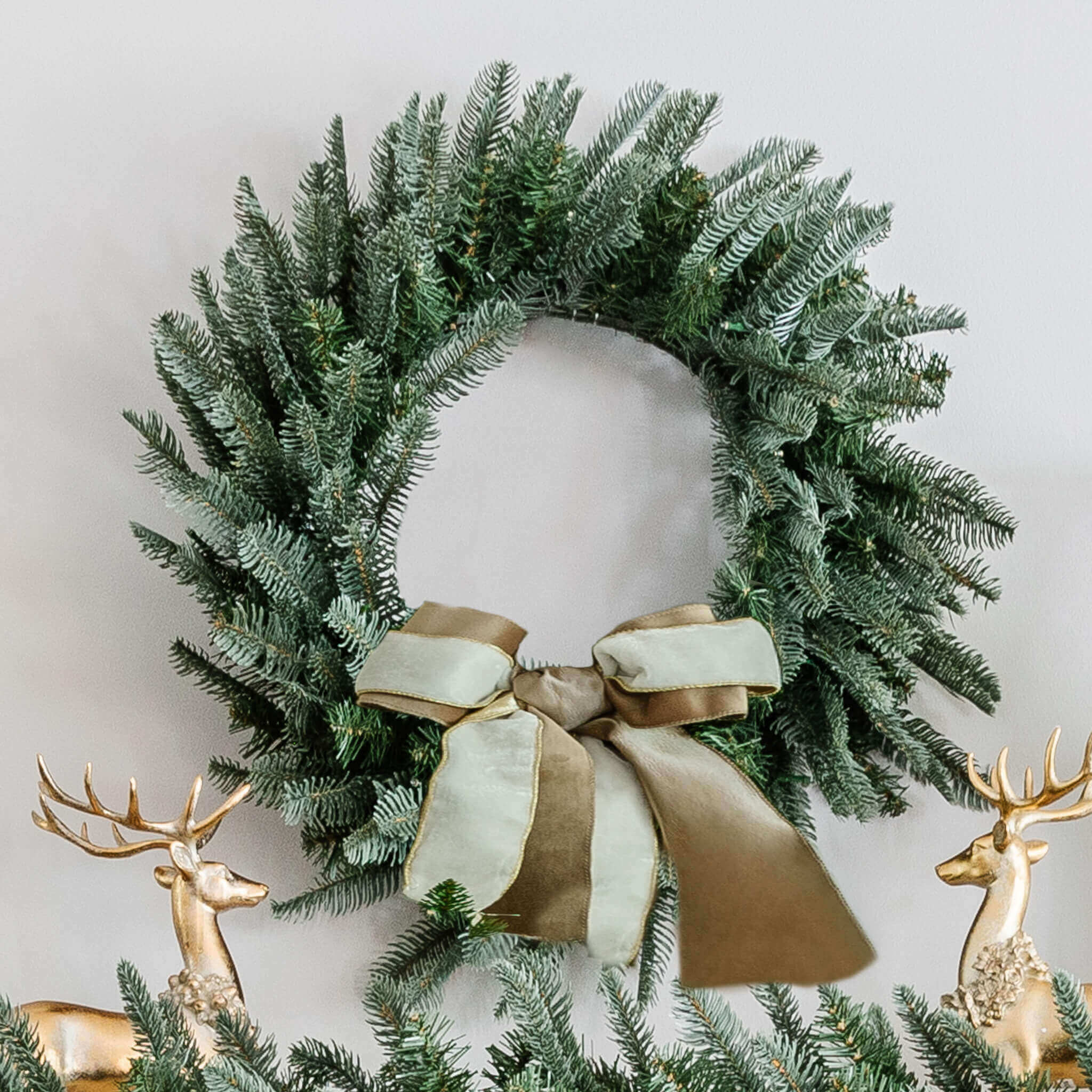 24" King Noble Fir Wreath with Warm White LED Lights